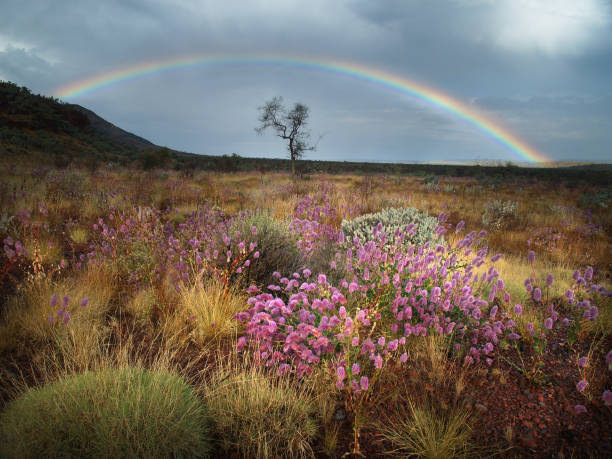Discover the Best Seasons and Regions to Witness Western Australia's ...