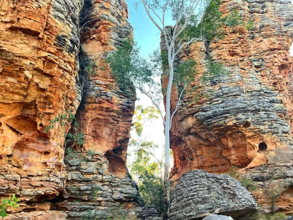 A Guide to Litchfield National Park’s Walking Trails